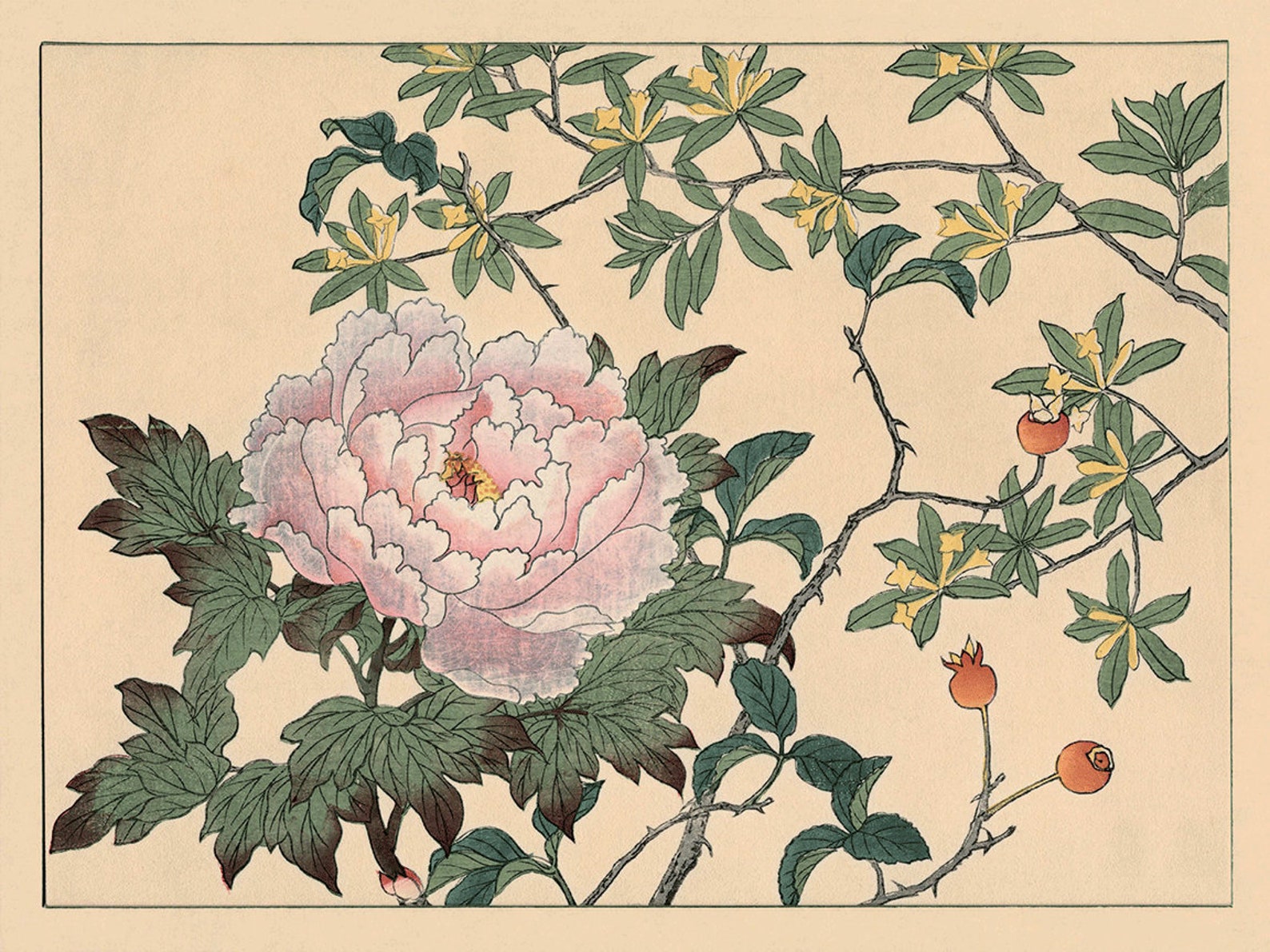 Japanese Botanical Art Prints Flower Art Print Poster Antique | Etsy