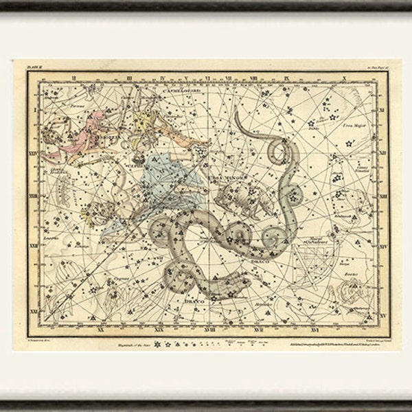 Antique Constellation Map - Etsy