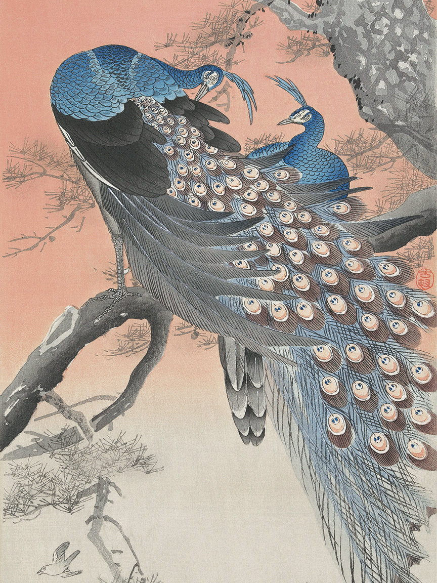 Peacock art bird art print Japanese art print poster Wall | Etsy