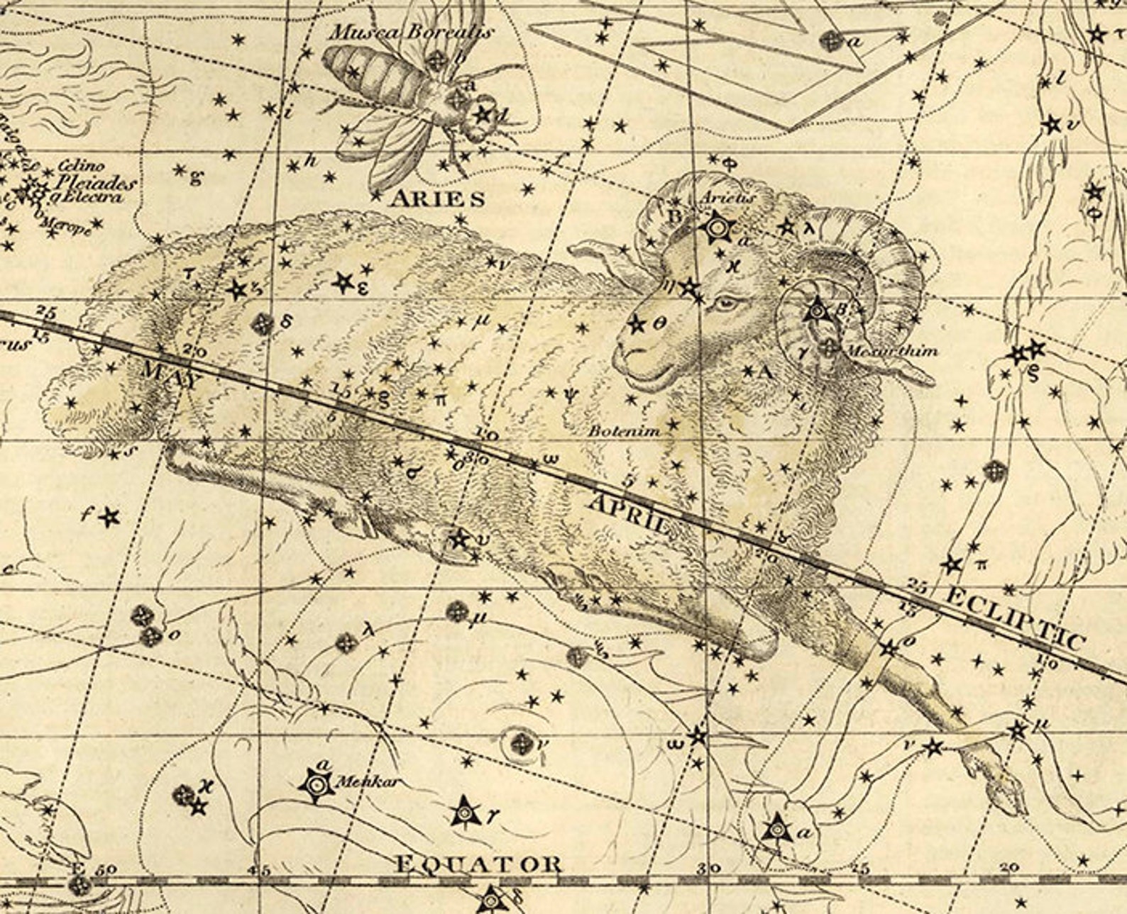 Constellation Aries Zodiac Celestial Art Star Map Old Print - Etsy