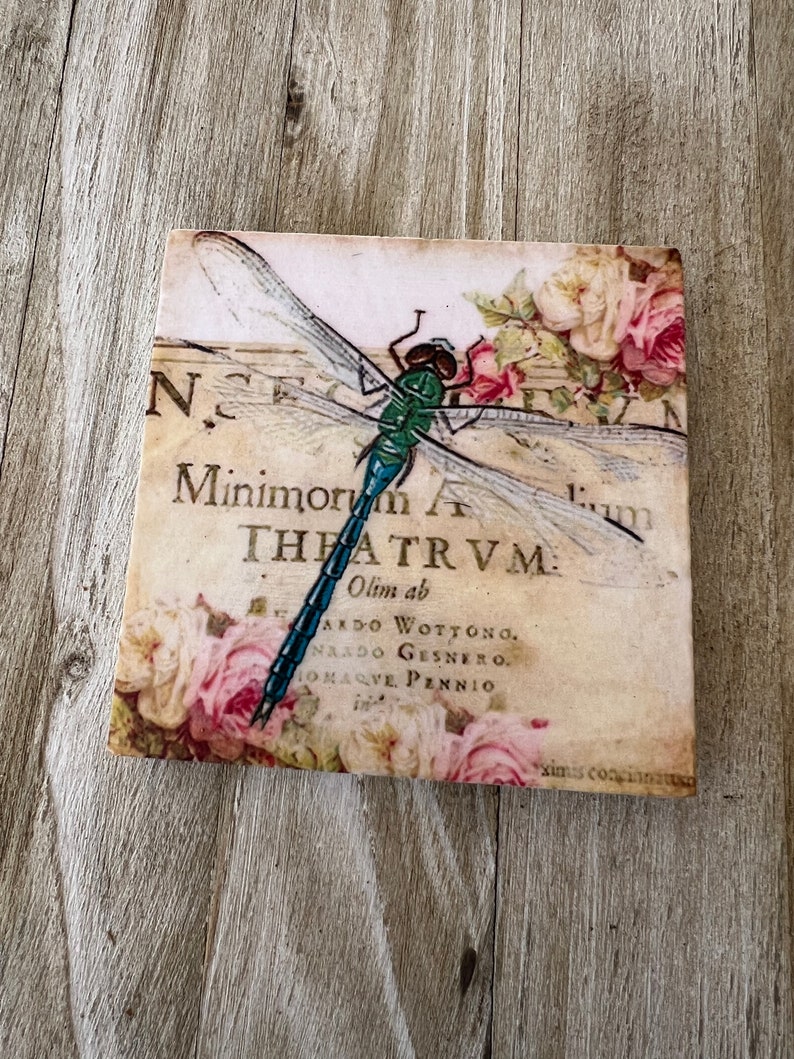 Natural Stone Dragon Fly Coasters, Stone Coasters, Beverage Coasters ...