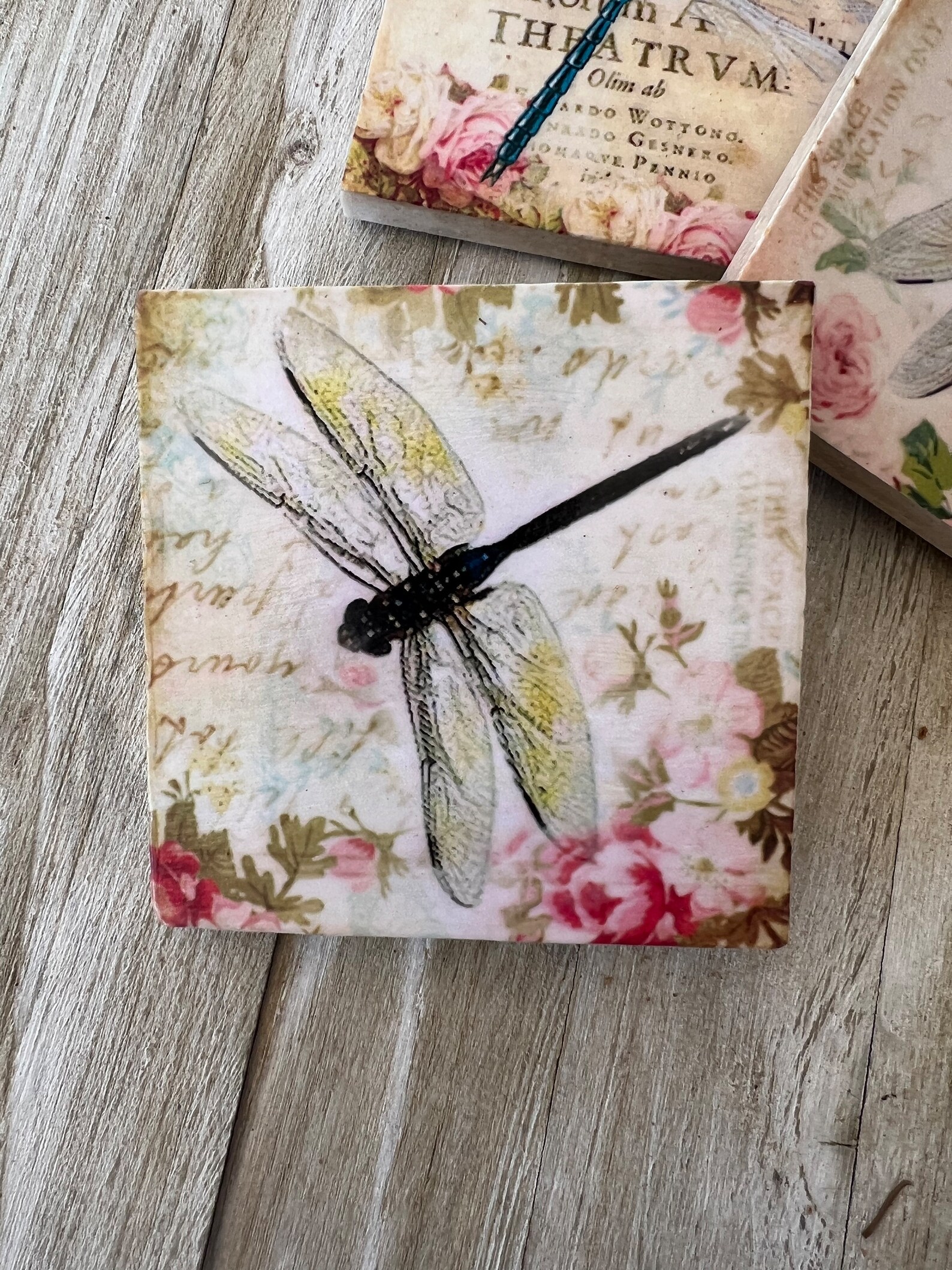 Natural Stone Dragon Fly Coasters, Stone Coasters, Beverage Coasters ...