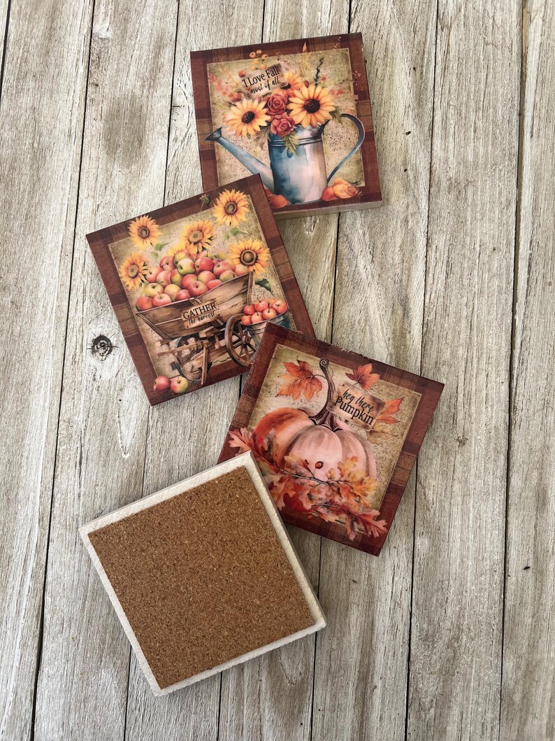 Natural Stone Autumn Themed Coasters, Pumpkin Coasters, Daisy Coasters ...