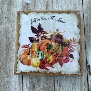 Natural Stone Apple, Pumpkins and Spices, Fall Coasters, Stone Coasters ...
