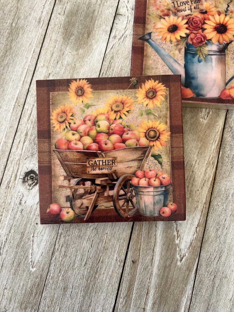 Natural Stone Autumn Themed Coasters, Pumpkin Coasters, Daisy Coasters ...