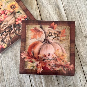 Natural Stone Autumn Themed Coasters, Pumpkin Coasters, Daisy Coasters ...