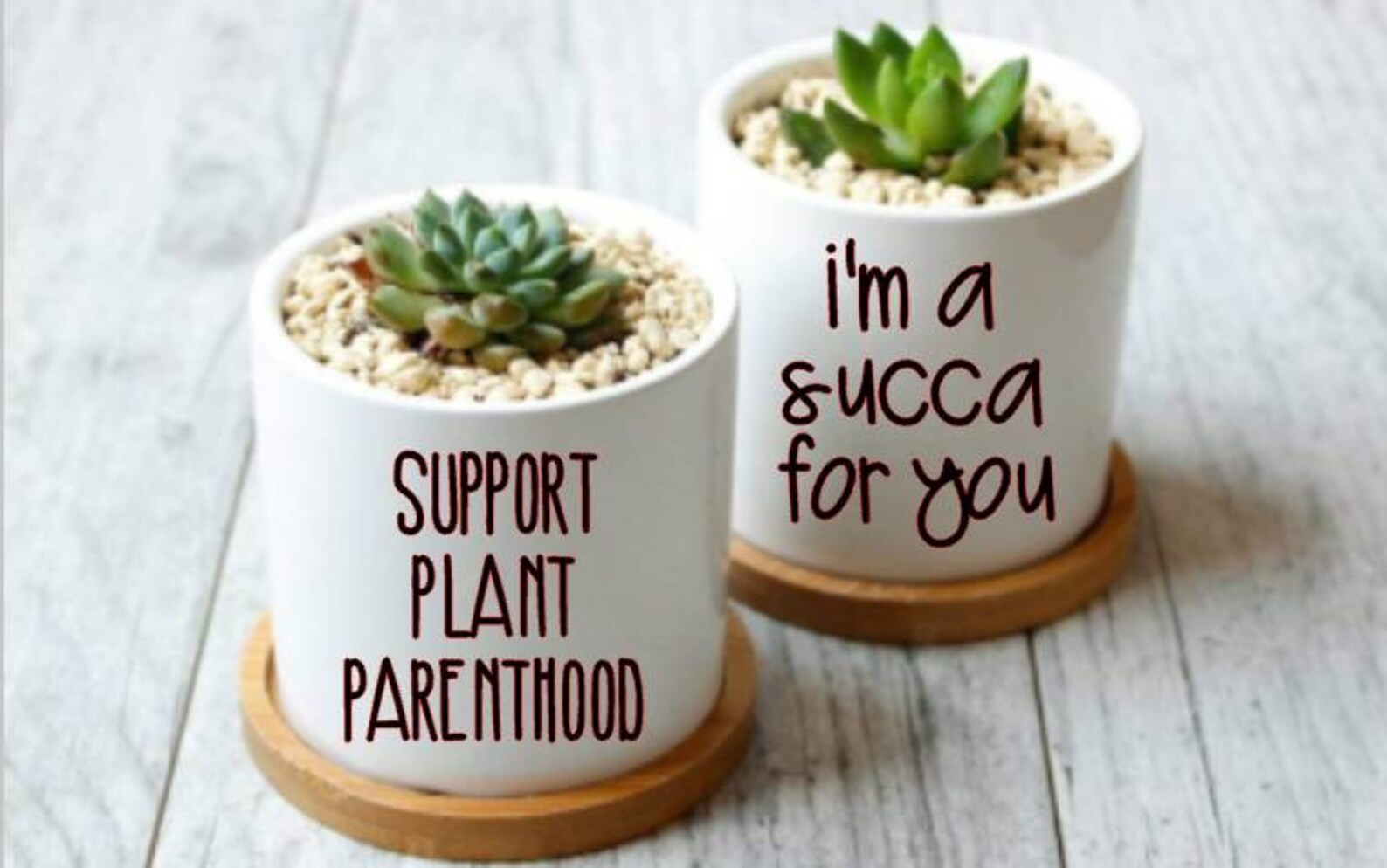 Succa Pun Pots / Gift in a Box - Etsy