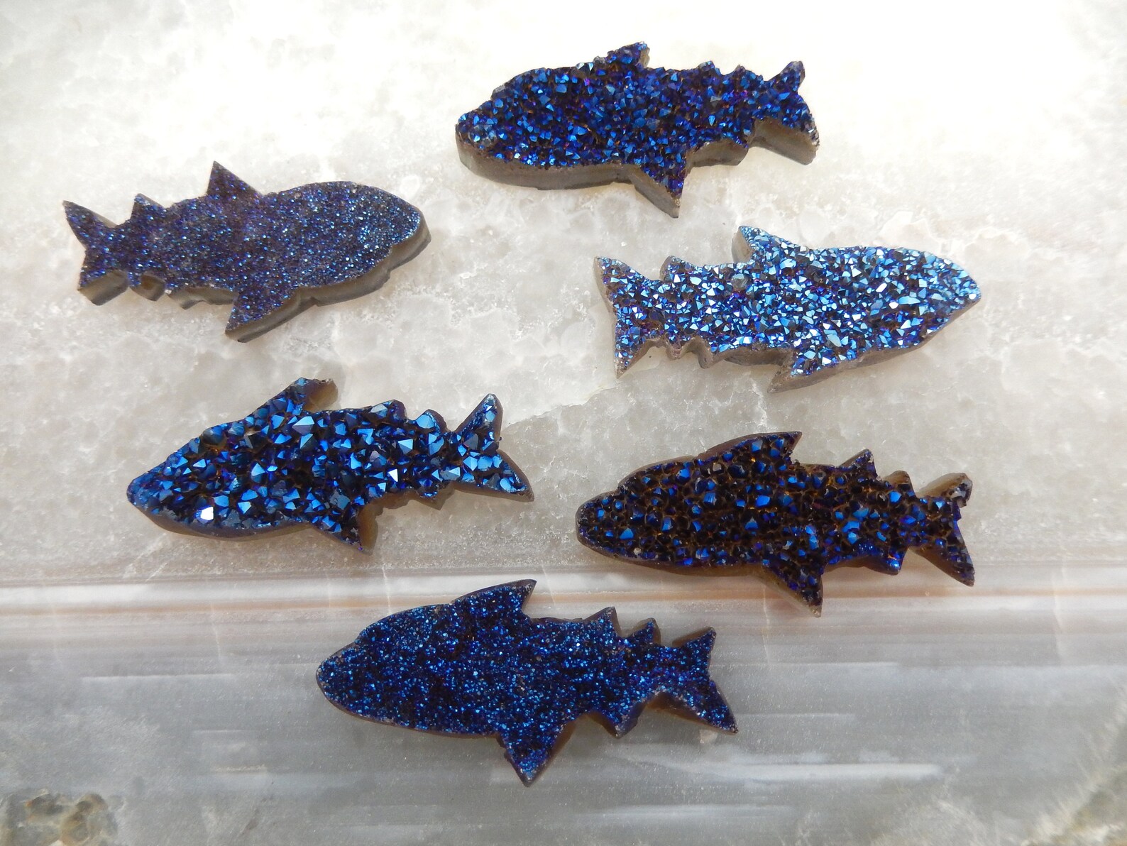 Druzy Shark - Mystic Blue Shark Fish Cluster Cabachon (RK36B7-06) - Etsy