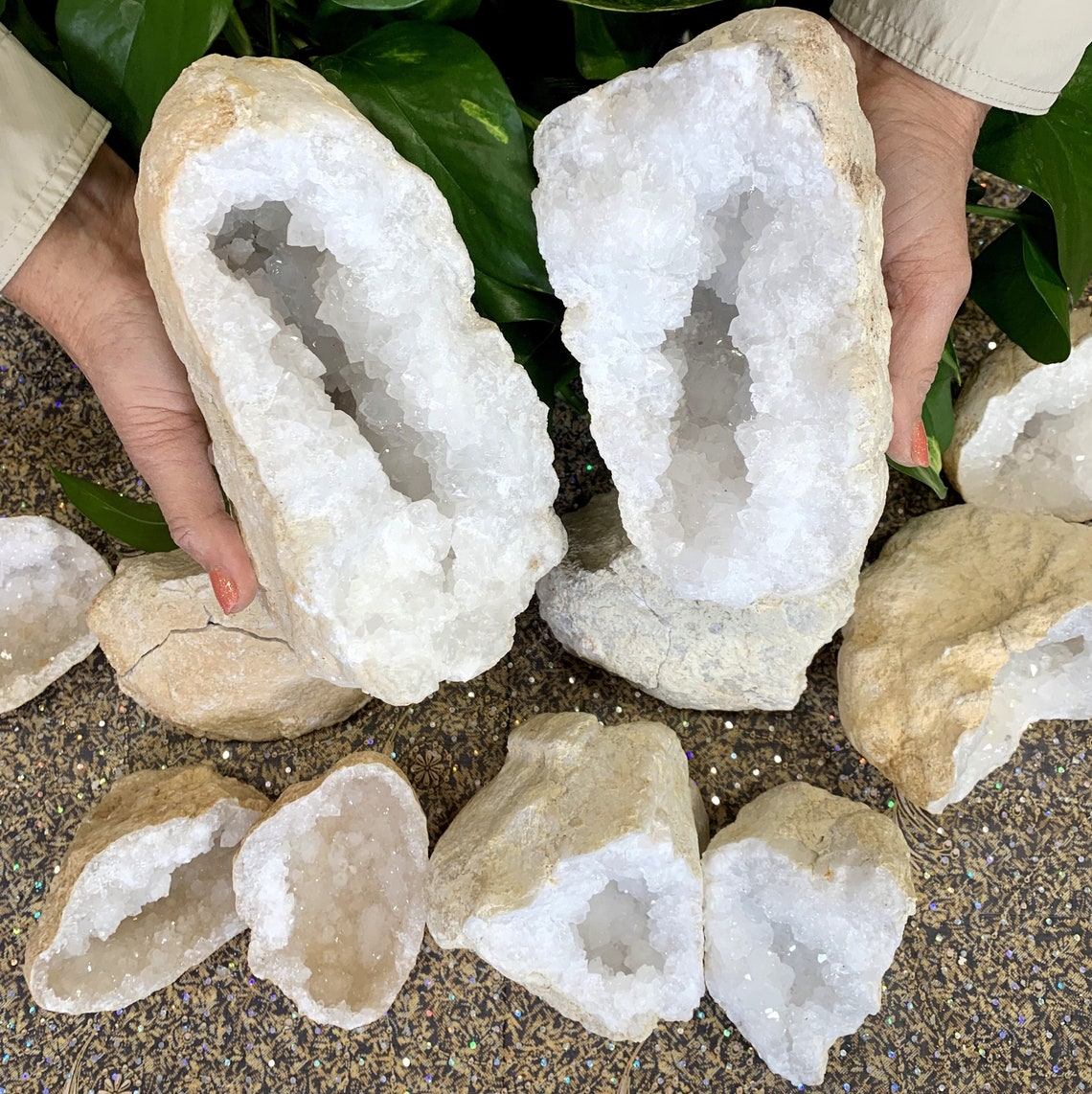 White Quartz Druzy Geode Whole GEO - Etsy