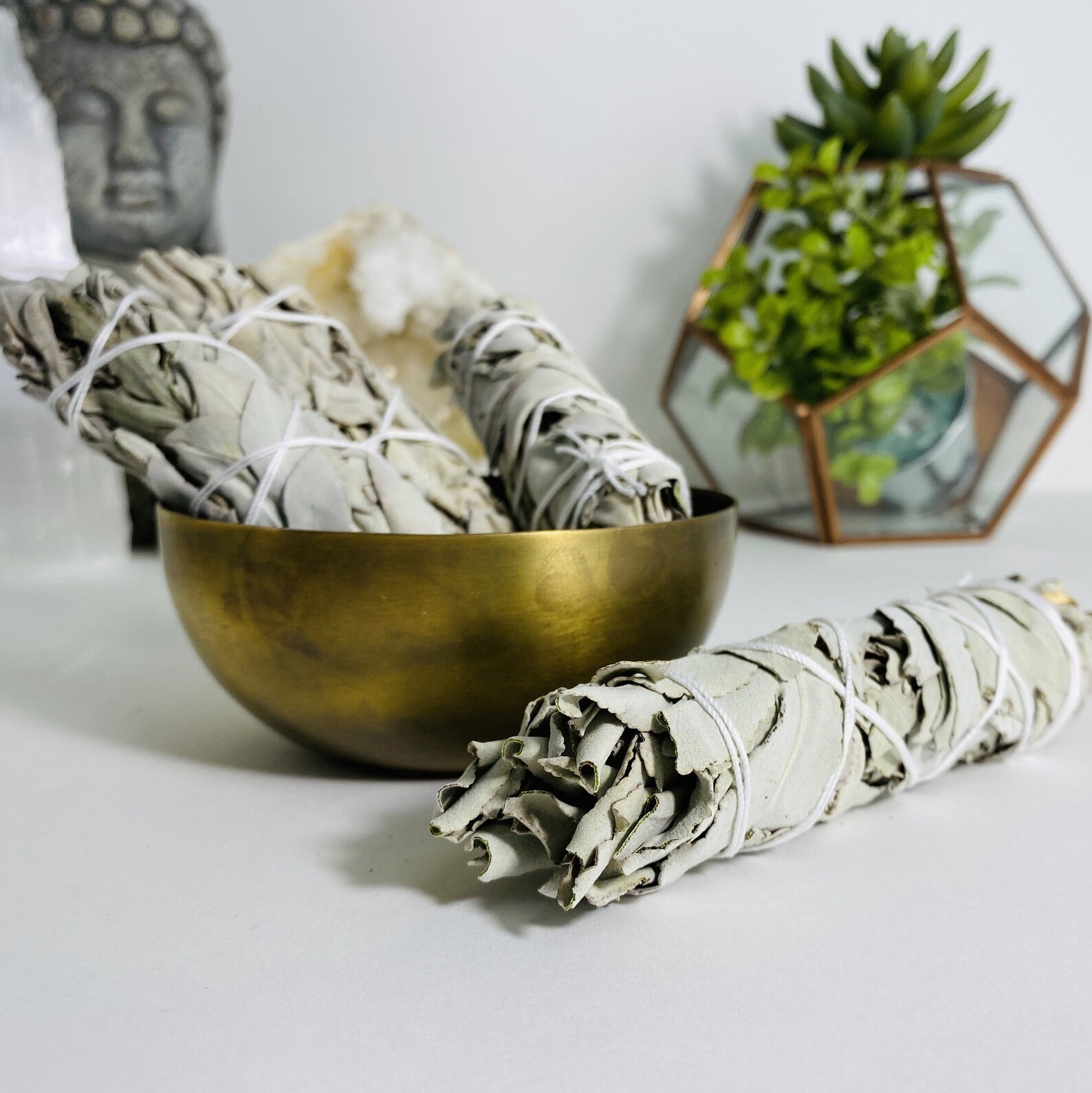 White Sage Stick Smudge Stick SAGESTCK | Etsy