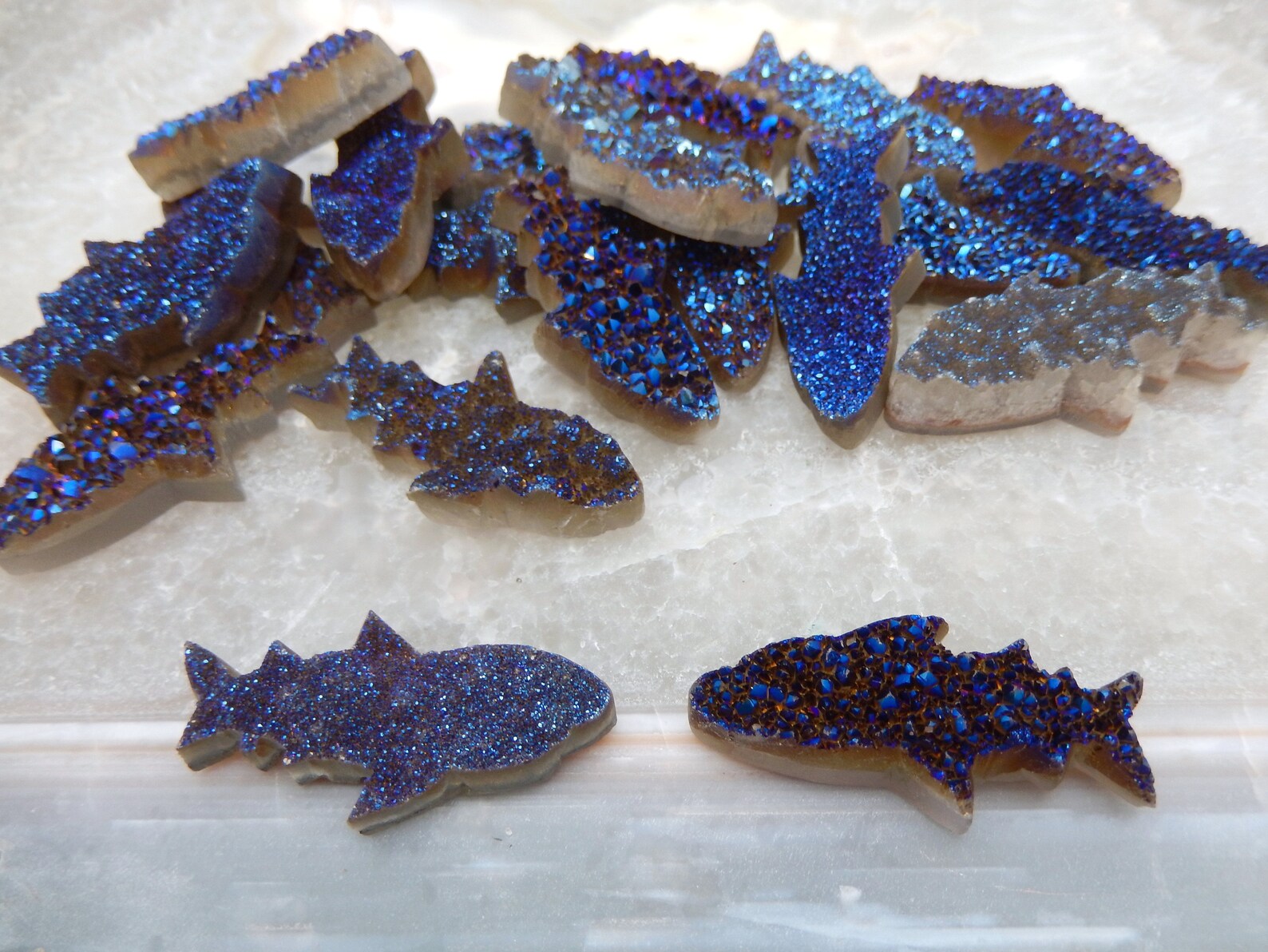 Druzy Shark - Mystic Blue Shark Fish Cluster Cabachon (RK36B7-06) - Etsy