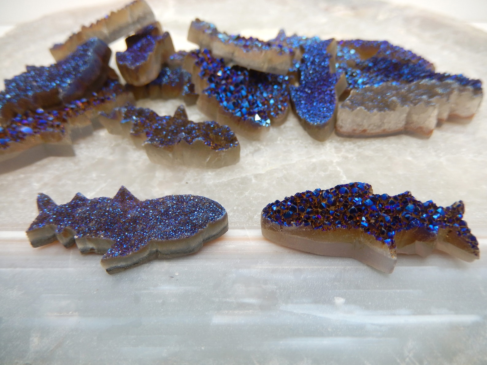 Druzy Shark - Mystic Blue Shark Fish Cluster Cabachon (RK36B7-06) - Etsy
