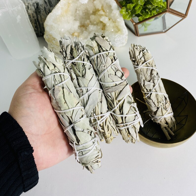 White Sage Stick Smudge Stick SAGESTCK - Etsy