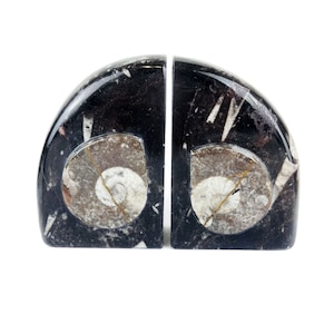 Fossil Bookends Orthoceras Crystal Bookends (RK2) - Etsy