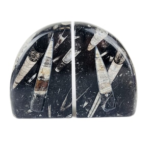 Fossil Bookends Orthoceras Crystal Bookends (RK2) - Etsy