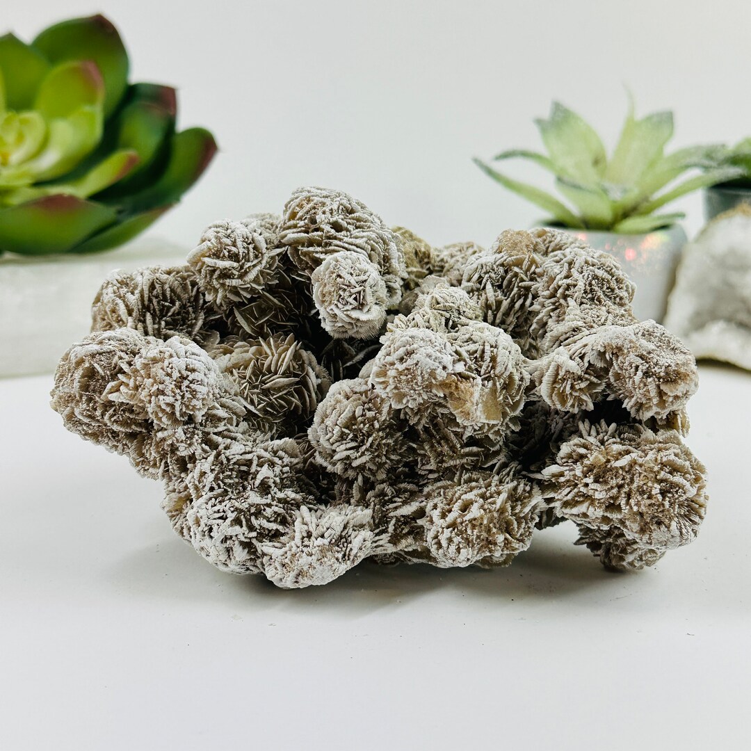 Desert Rose Gypsum Formation - Etsy