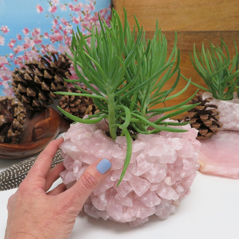 Rose Quartz Crystal Plant Holder - Pink Stone Pot - Home Decor - Sacred ...