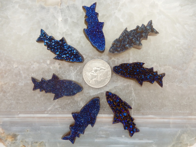 Druzy Shark - Mystic Blue Shark Fish Cluster Cabachon (RK36B7-06) - Etsy