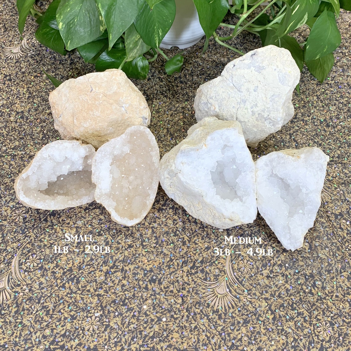 White Quartz Druzy Geode Whole GEO - Etsy