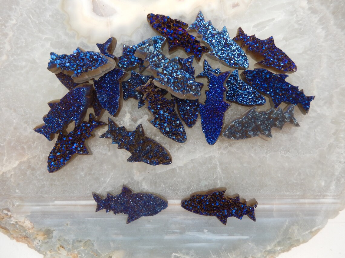 Druzy Shark - Mystic Blue Shark Fish Cluster Cabachon (RK36B7-06) - Etsy