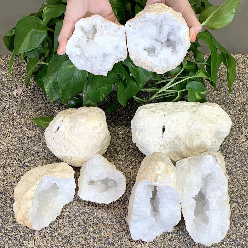 White Quartz Druzy Geode - Whole - (GEO) - Etsy