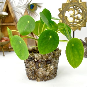 Tumbled Stone Pot - Custom Handmade With Natural Polished Stones - You ...