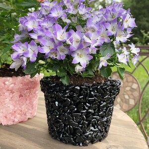 Tumbled Stone Pot - Custom Handmade With Natural Polished Stones - You ...