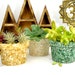 Tumbled Stone Pot - Custom Handmade With Natural Polished Stones - You ...
