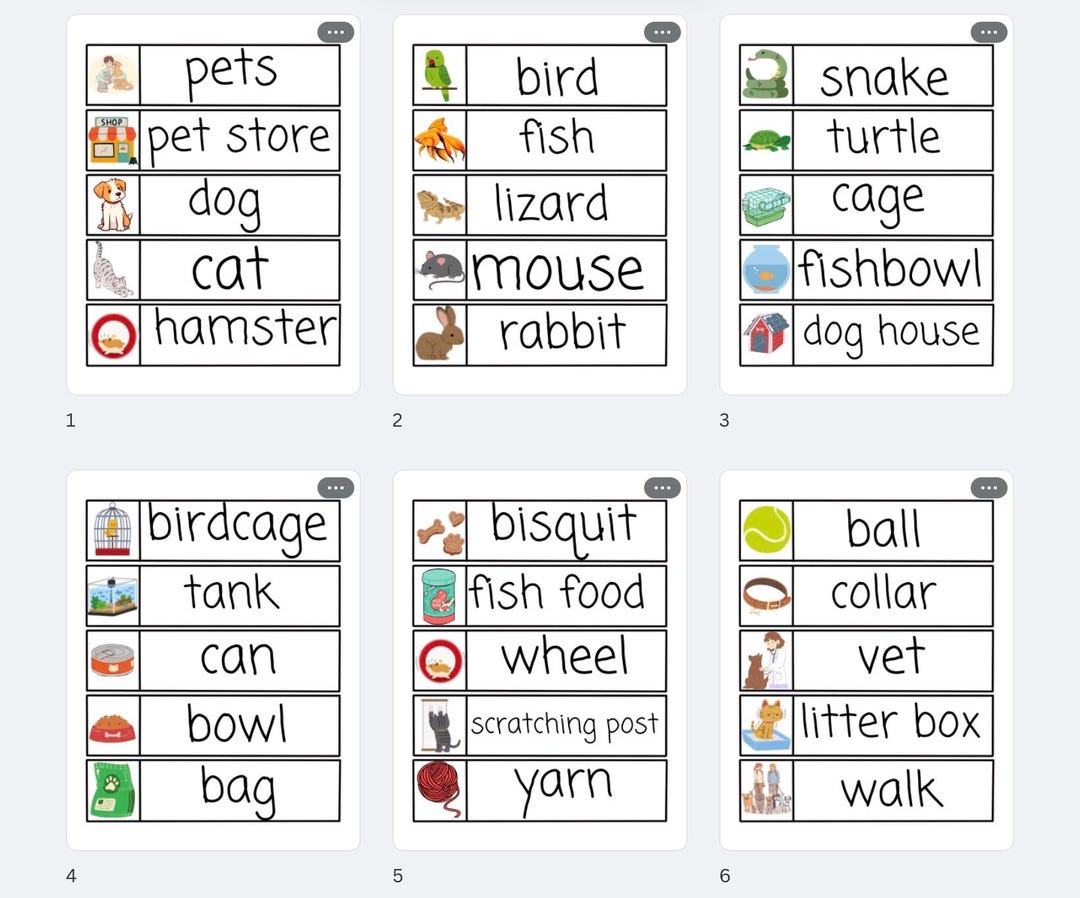 Preschool Word Wall Words- Pets Theme - Etsy