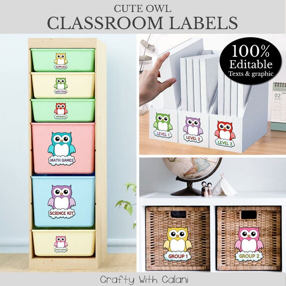 Owl Teacher Supplies