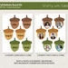 Thanksgiving Bulletin Board Kit, Rainbow Bulletin Board, Fall Classroom ...