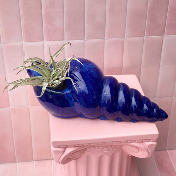 Shell Planter - Etsy