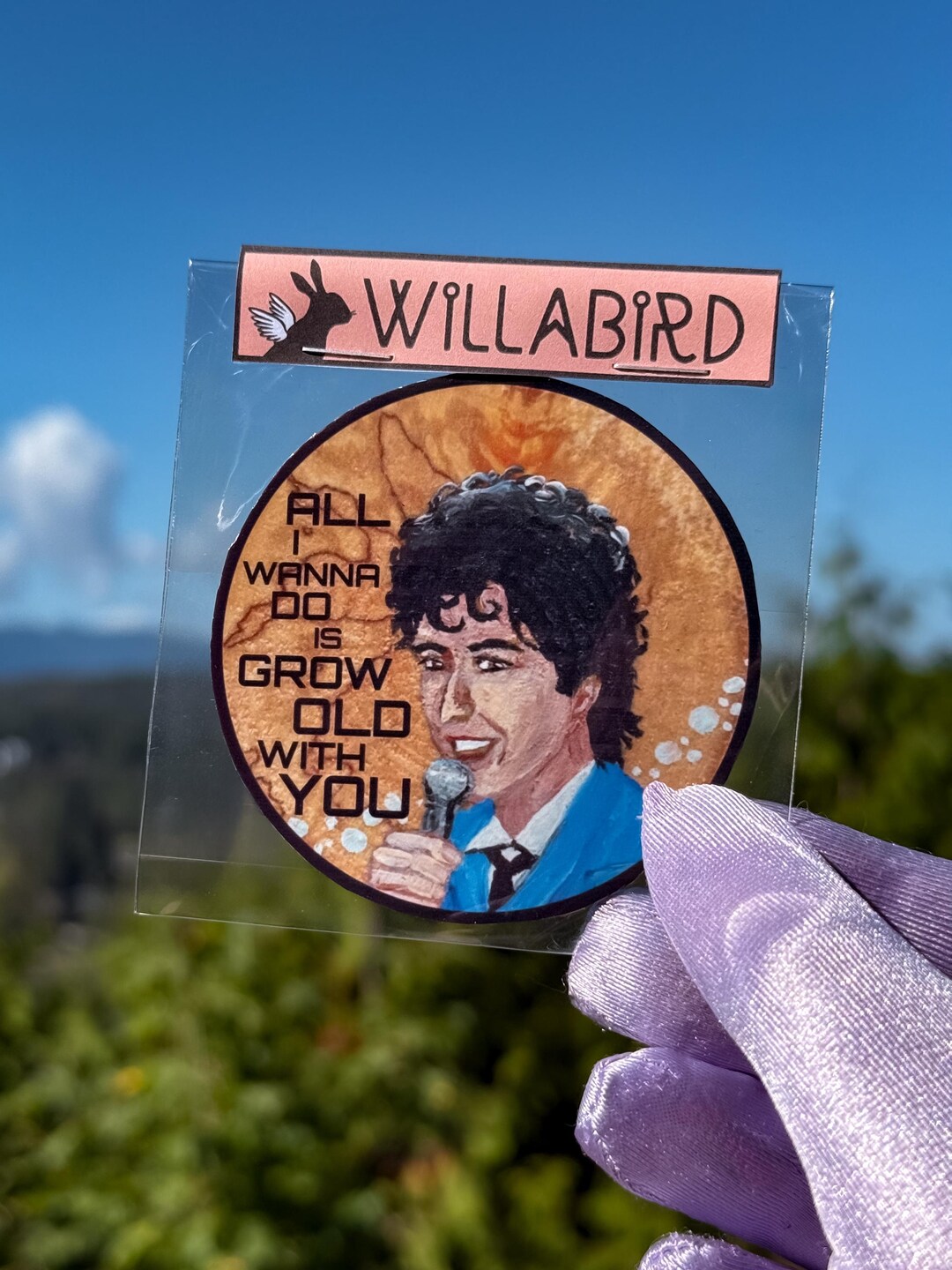Wedding Singer Magnet, Adam Sandler Robbie Hart Art - Etsy