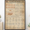Guitar Knowledge Poster, Anatomy of A Guitar, History, String Types ...
