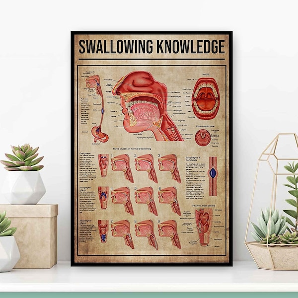 Speech Anatomy Art - Etsy