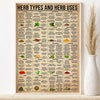 Guitar Knowledge Poster, Anatomy of A Guitar, History, String Types ...