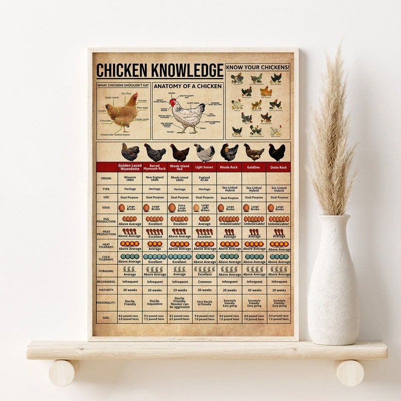 Chicken Breeds Poster - Etsy