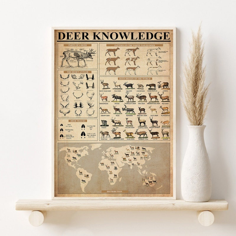 Deer Map of the World - Etsy UK