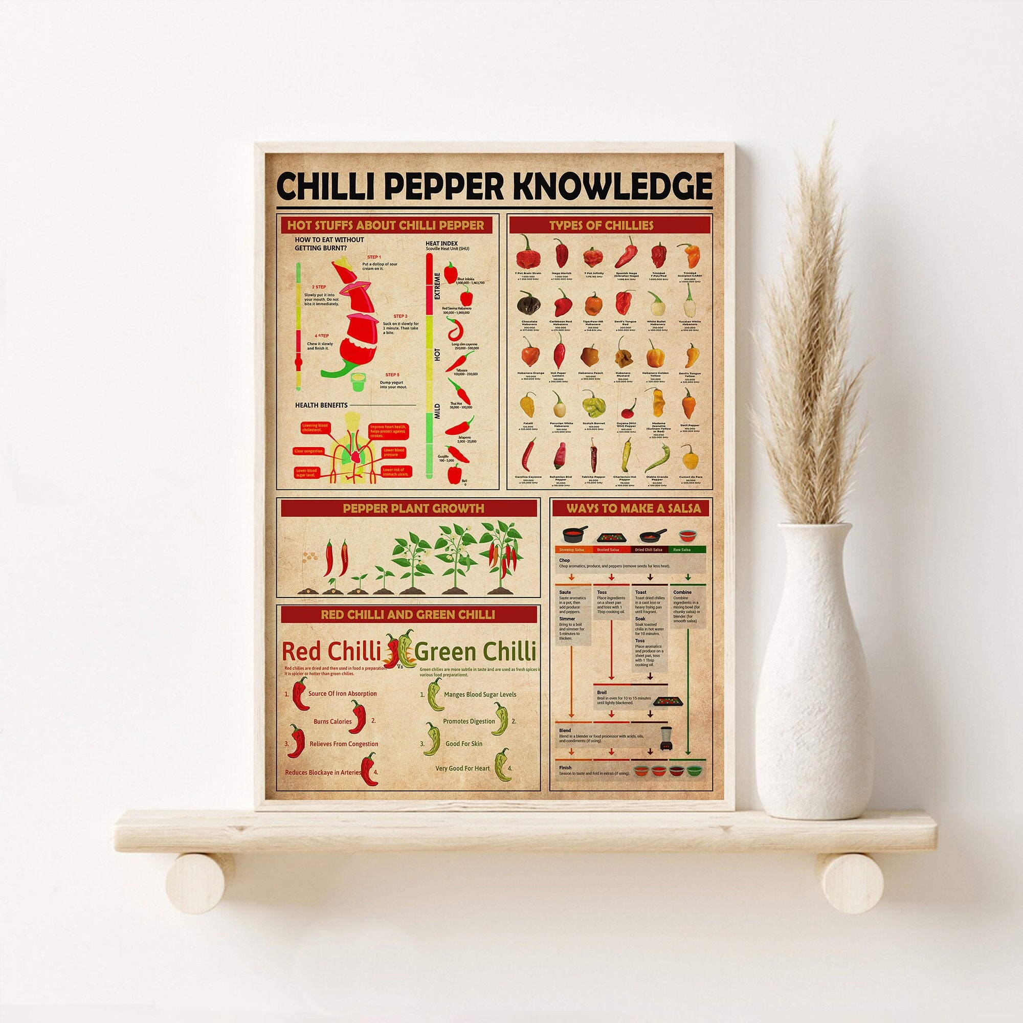 Chilli Pepper Knowledge Poster, Red Chilli and Green Chilli, Kitchen ...