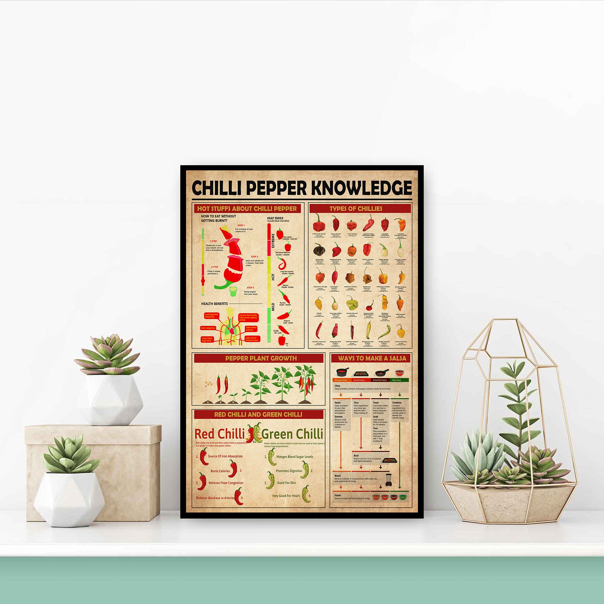 Chilli Pepper Knowledge Poster, Red Chilli and Green Chilli, Kitchen ...