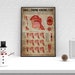 Swallowing Knowledge Poster, Anatomy of Normal Swallowing, Swallow ...