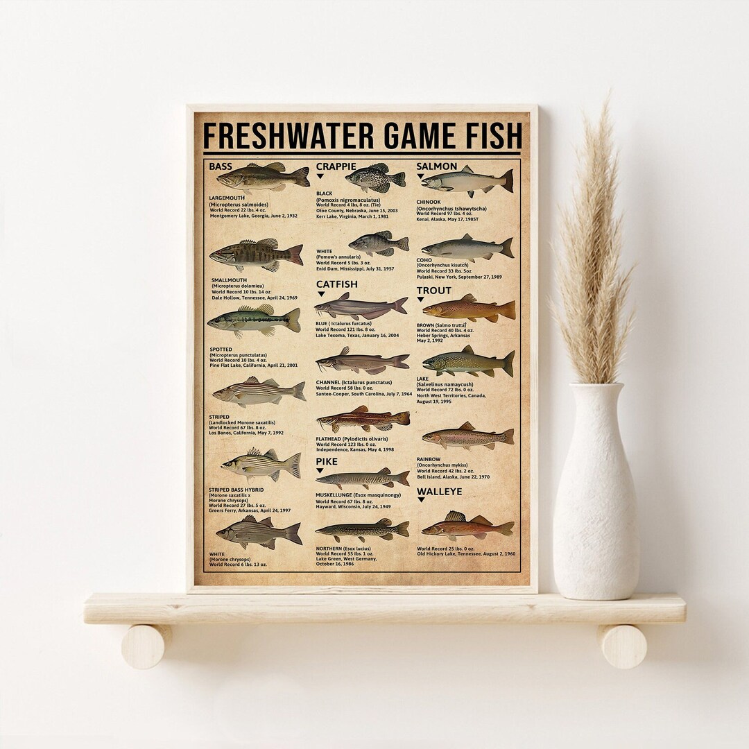 Freshwater Game Fish Poster, Fishing Knowledge Print, Fishing Vintage ...