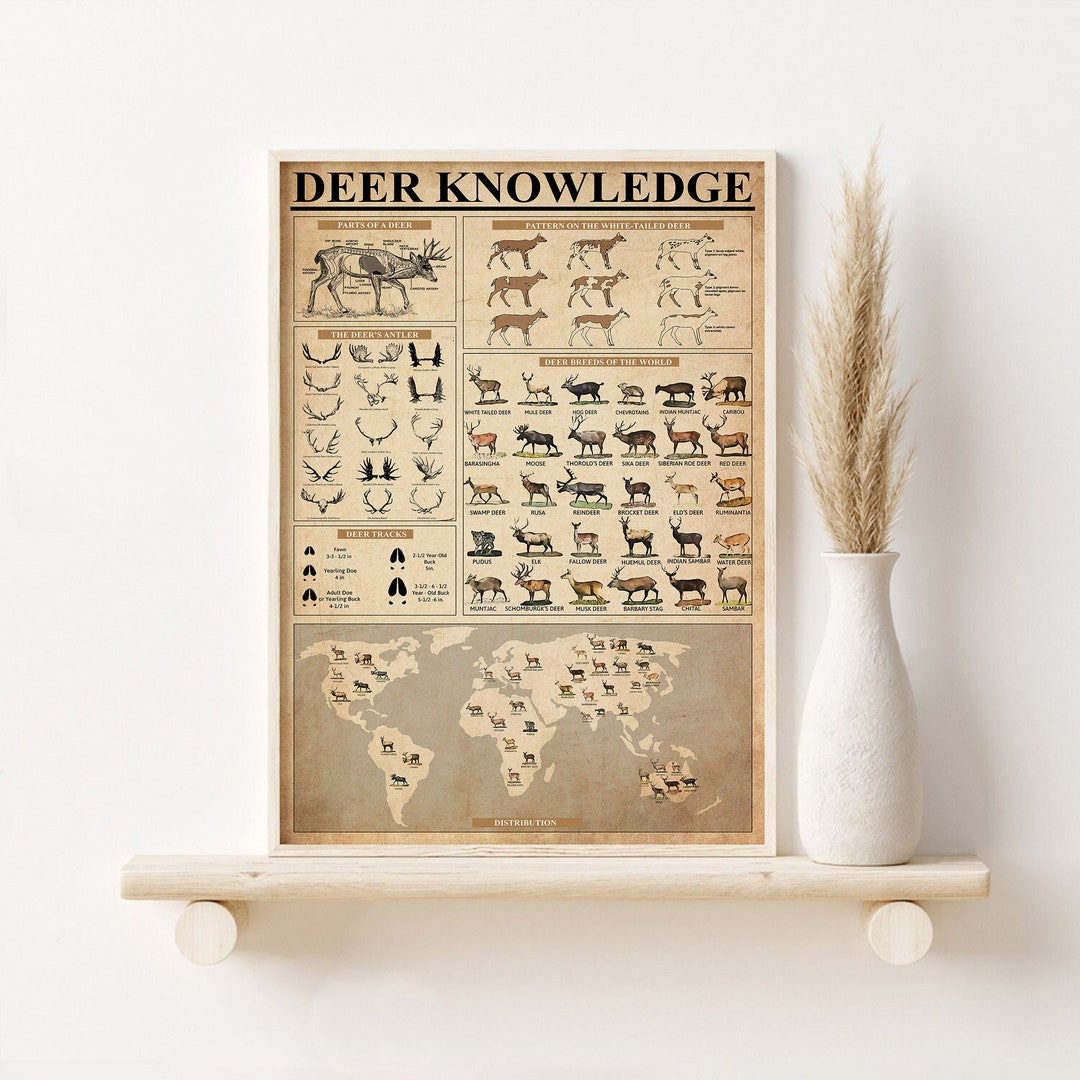 Deer Knowledge Vintage Poster, Type of Deer Print, Gift for Deer Lover ...