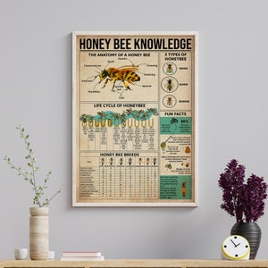 Honey Bee Knowledge Poster, Bee Home Decor, Life Cycle of Honeybee, 3 ...