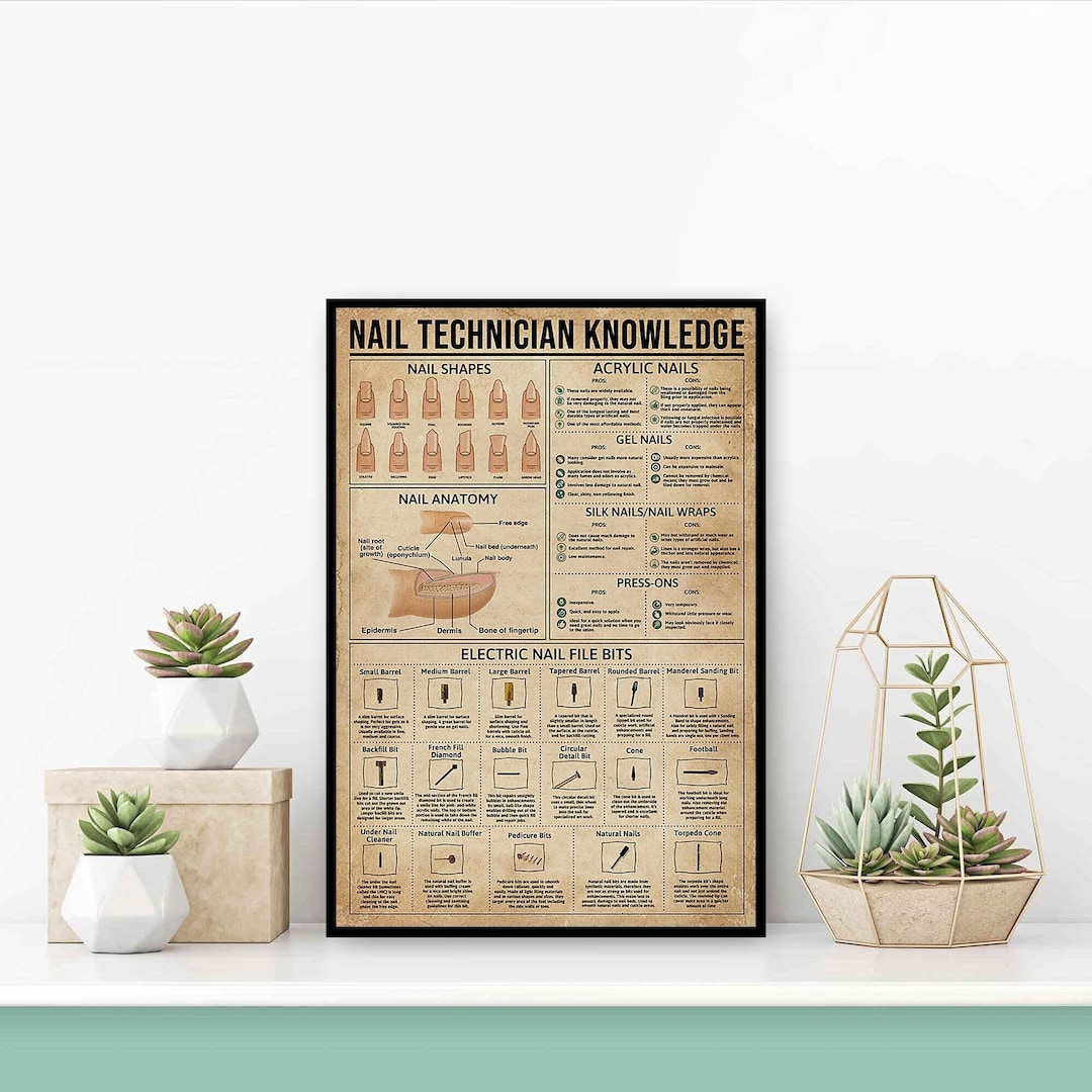 Nail Technician Knowledge Poster, Nail Shapes Anatomy Chart, Electric ...