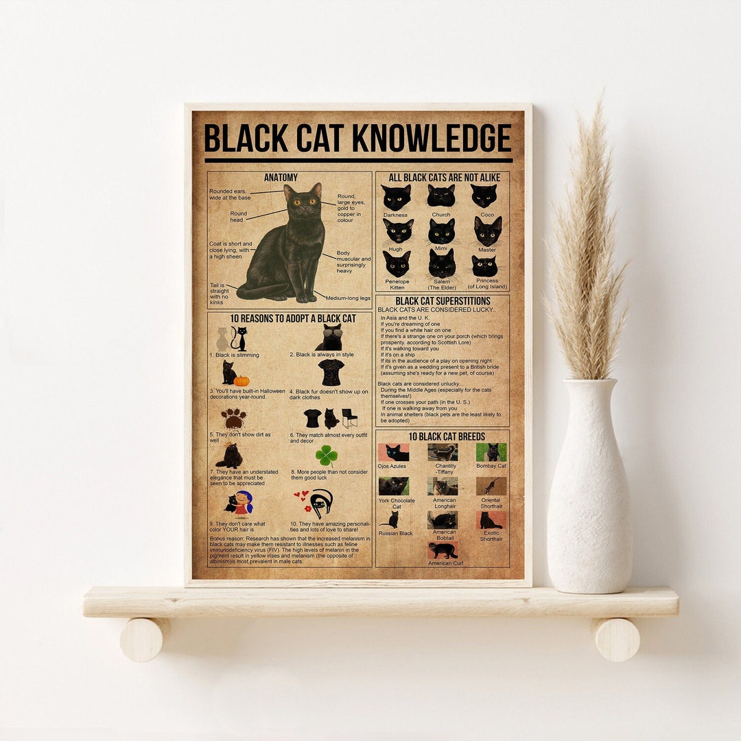 Black Cat Knowledge Poster, Anatomy of Black Cat, Gift for Black Cat Lover, Black Cat Art Print ...