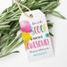 Ice Cream Gift Tag, Here's the Scoop You're Awesome, Summer Thank You ...