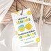 Lemon Gift Tag, When Life Gives You Lemons Editable Thank You Tag ...