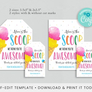 Ice Cream Gift Tag, Here's the Scoop You're Awesome, Summer Thank You ...