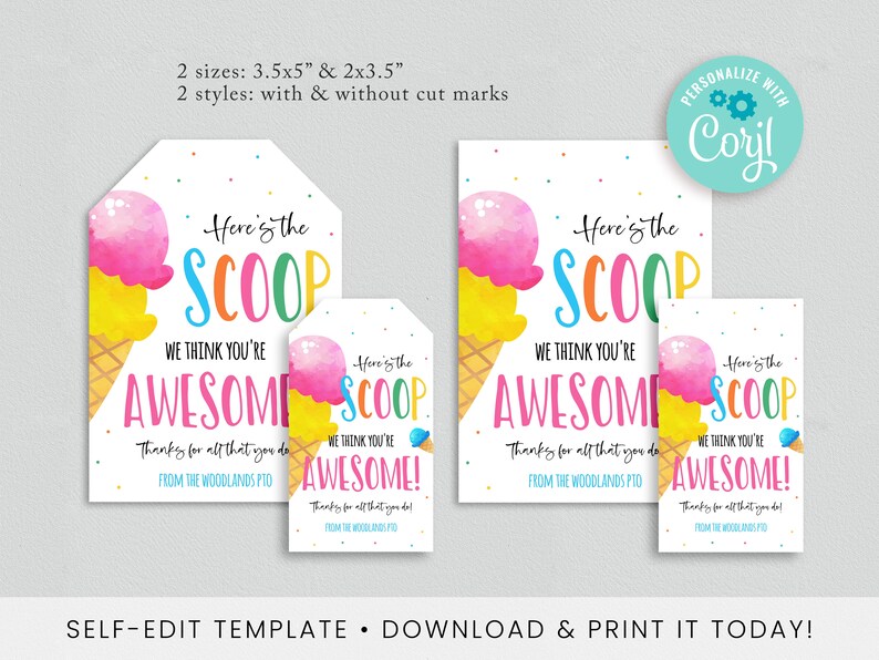 Ice Cream Gift Tag, Here's the Scoop You're Awesome, Summer Thank You ...